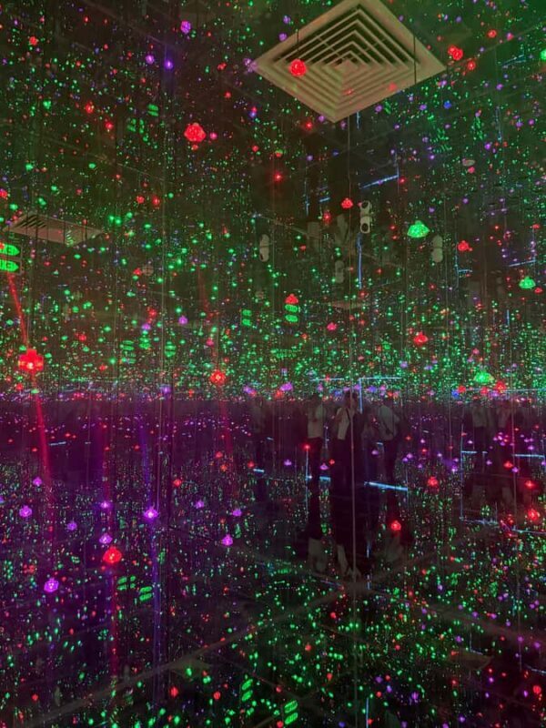 Saigon City Sightseeing: Bitexco, Starry Museum, Water Bus - Who would love this tour?