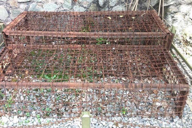 Saigon Morning City Historical Scooter Tour w Ao Dai Rider option - Final Thoughts: Who Will Love This Tour?