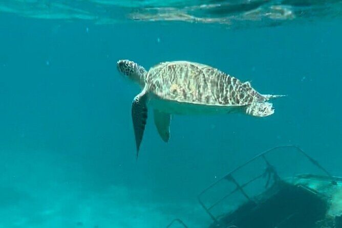 Sail and Snorkel Private Charter - Half Day Morning - The Experience: A Closer Look at What to Expect