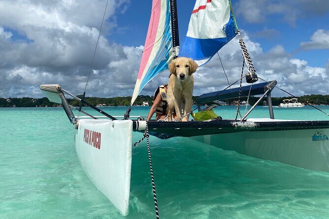 Sail away! Hobie Cat Tour Bacalar - What’s Included & How It Works