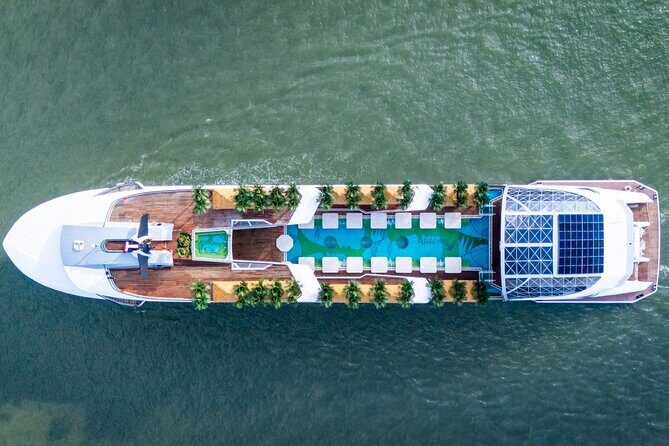 Sail Halong Bay in Luxury Dolphin Day Cruise with Panoramic Views - Key Points