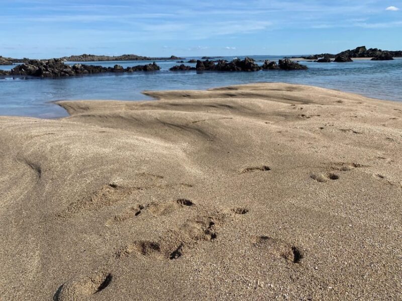 Sail into the heart of the bay - Exploring the Bay of St Brieuc: What to Expect