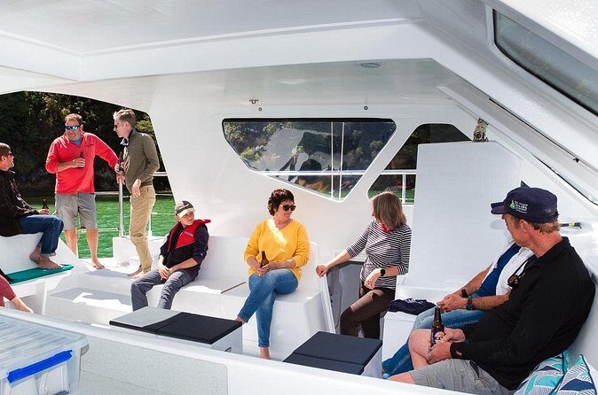 Sail, Seals, and Walk Tour in Abel Tasman - Who Is This Tour Best For?