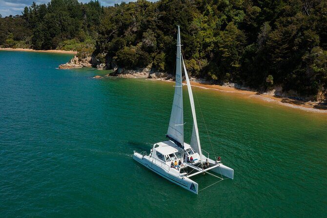 Sail, Seals, and Walk Tour in Abel Tasman - Final Thoughts