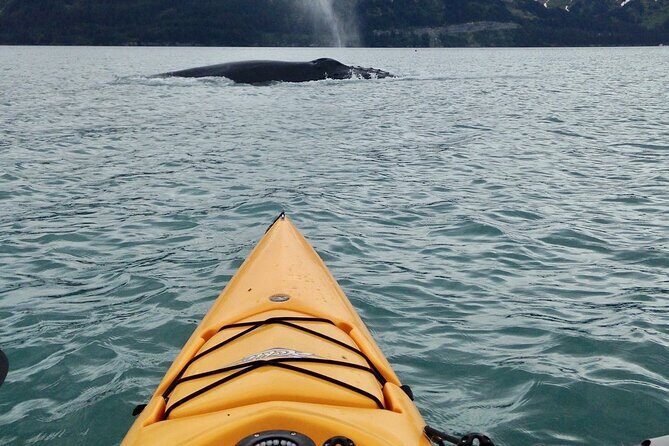 Sailing Alaska's Inside Passage 4 Day Private Tour - FAQ: Your Questions, Answered