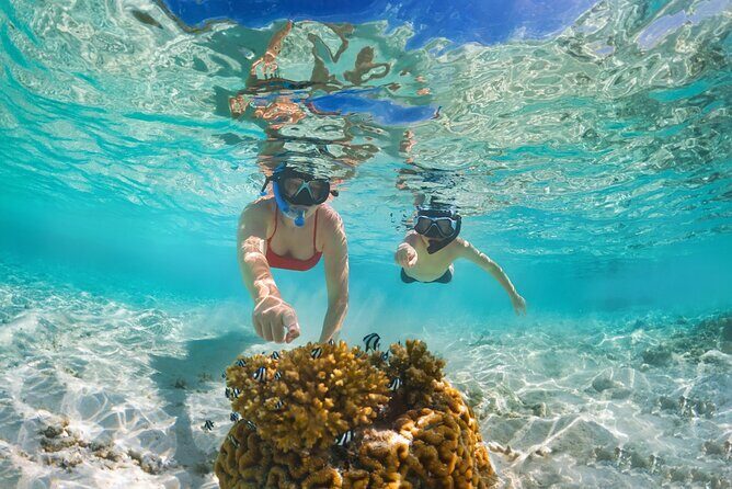 Sailing and Snorkeling Private Tour to Les Saintes - An Adventure on the Waters of Guadeloupe