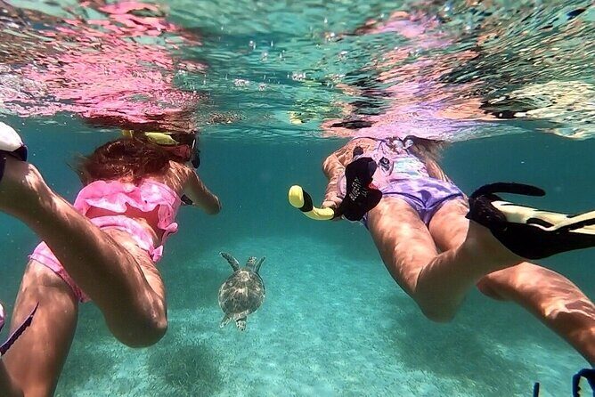 Sailing and Snorkeling to Norman Island and Caves - Who Should Consider This Tour?