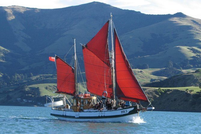Sailing and Wildlife Tour Akaroa Fox II Sailing - Key Points