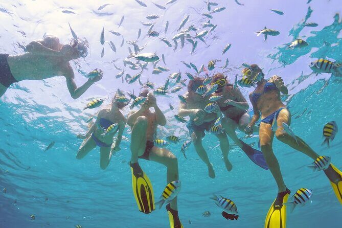 Sailing Catamaran Excursion - The Value Proposition