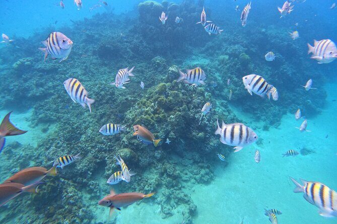 Sailing Catamaran Excursion - Who Is This Tour Best For?