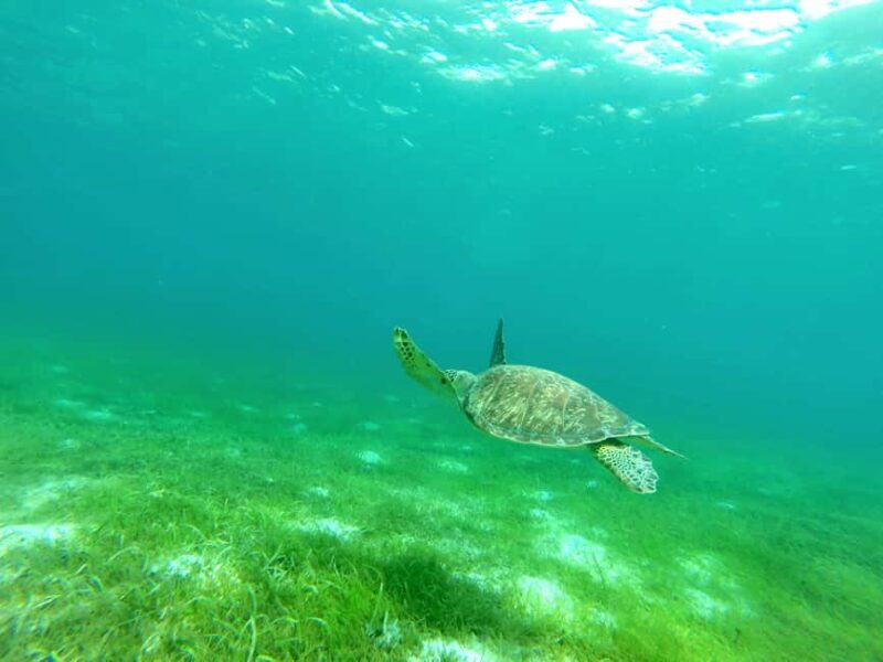 Sailing catamaran in La Baie des Saintes - Frequently Asked Questions (FAQs)