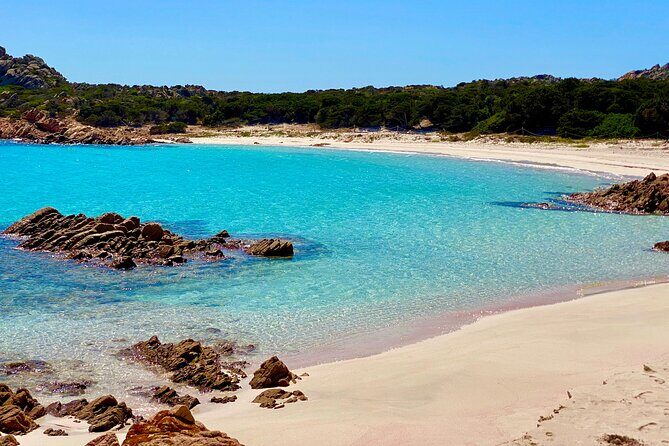 Sailing Cruise in Maddalena Archipelago from Maddalena - The Sum Up: Who Should Consider This Tour?