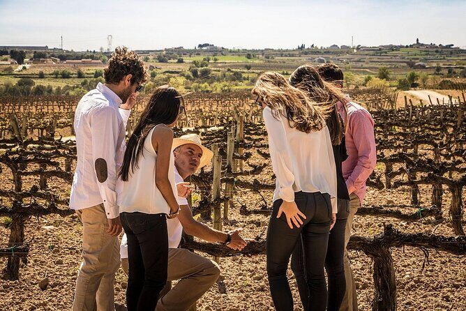 Sailing excursion Barcelona and visit to a winery in Alella - Key Points