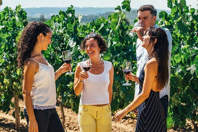 Sailing excursion Barcelona and visit to a winery in Alella - Final Thoughts: Who Is This Tour Best For?