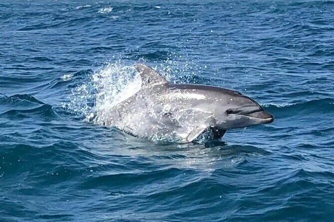 Sailing, swimming, snorkeling, & relaxing in Castelsardo, Sardinia - A Closer Look at the 4-Hour Sailing Tour