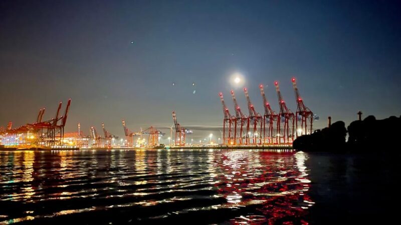 Sailing trip ''the Elbe by night", Hamburg/Elbe - Who Will Love This Tour?