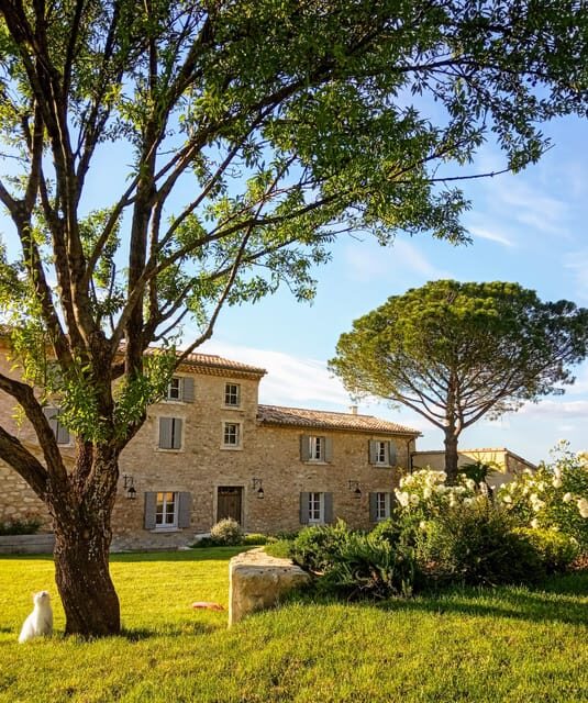 Saint-Didier: visit a winery & taste organic wines - Key Points