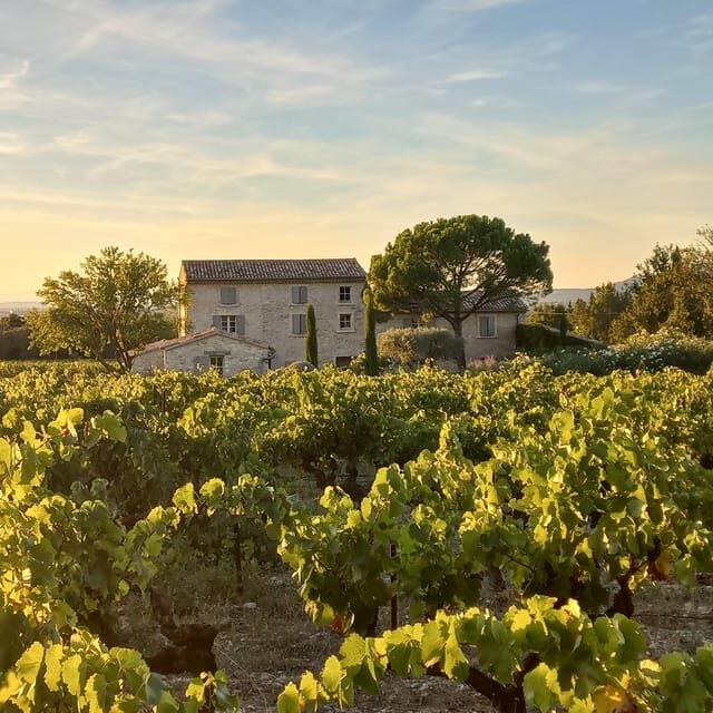 Saint-Didier: visit a winery & taste organic wines - Introduction