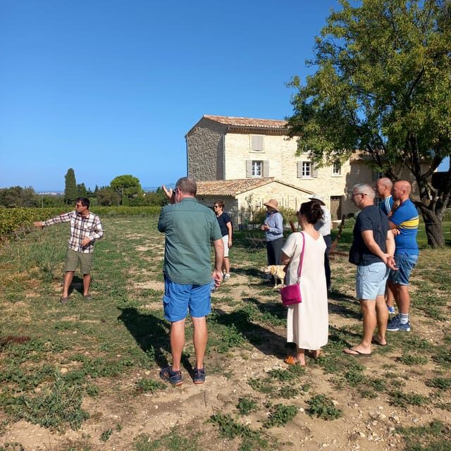 Saint-Didier: visit a winery & taste organic wines - Who Should Consider This Tour?