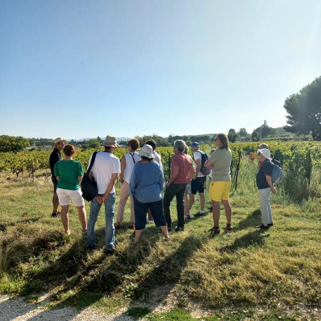 Saint-Didier: visit a winery & taste organic wines - Frequently Asked Questions