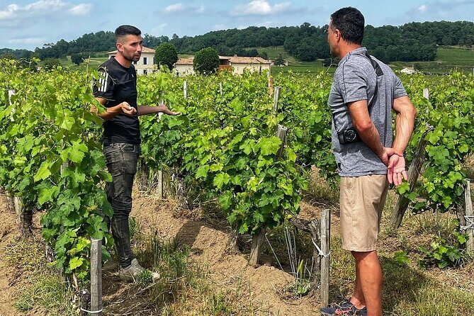 Saint-Émilion: 2 hours - Visit of the vineyard, the cellar and tasting - Key Points