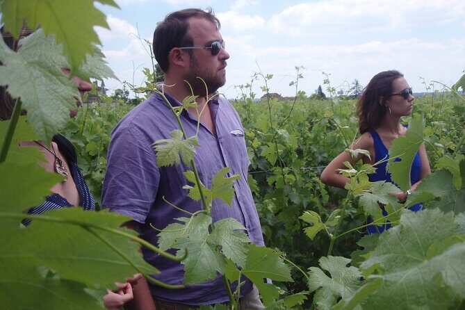 Saint-Émilion: 2 hours - Visit of the vineyard, the cellar and tasting - An In-Depth Look at the Tour