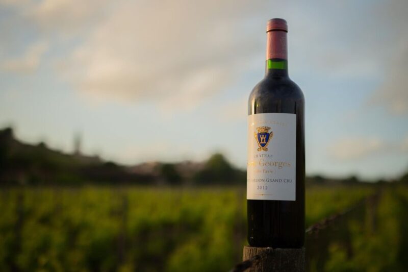 Saint-Émilion: Bordeaux Vineyard Tour and Wine Tasting - Who Should Consider This Tour?