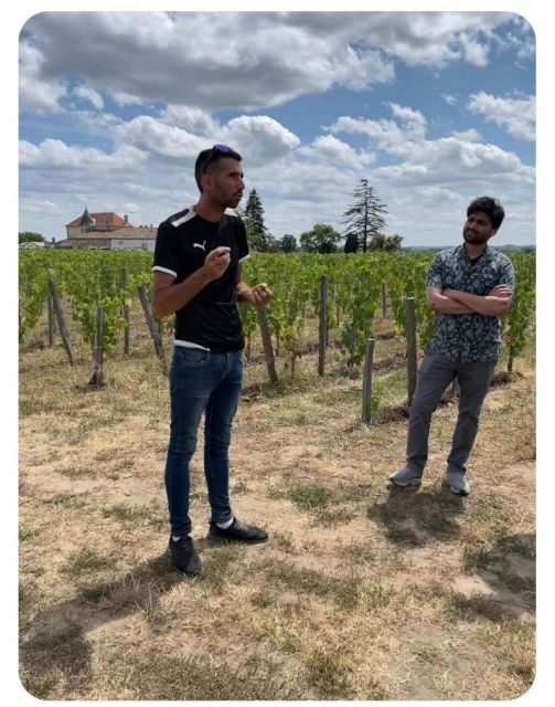 Saint-Émilion: Family Vineyard Visit with Wine Tasting - The Sum Up