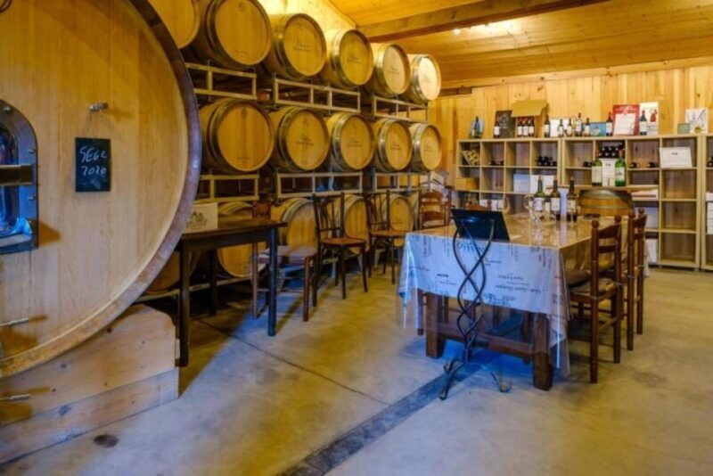 Saint-Émilion: Family Vineyard Visit with Wine Tasting - FAQ