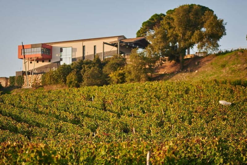 Saint-Emilion: Grand Cru Classé Guided Winery Visit & Picnic - Key Points