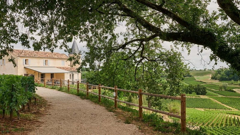 Saint-Emilion: Grand Cru Classé Guided Winery Visit & Picnic - Introduction: A Balanced Look at a Classic Bordeaux Experience