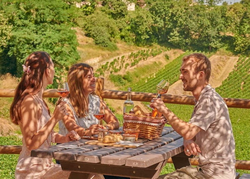 Saint-Emilion: Grand Cru Classé Guided Winery Visit & Picnic - What Makes This Tour Stand Out?