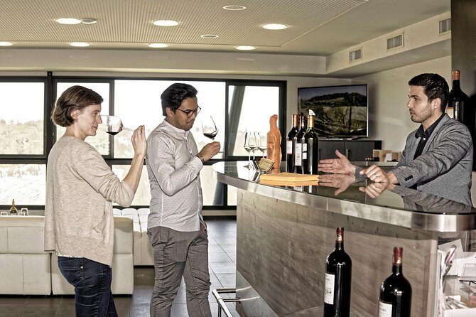 Saint-Emilion Grand Cru Classé: Visit & Tasting in English - The Value of the Experience