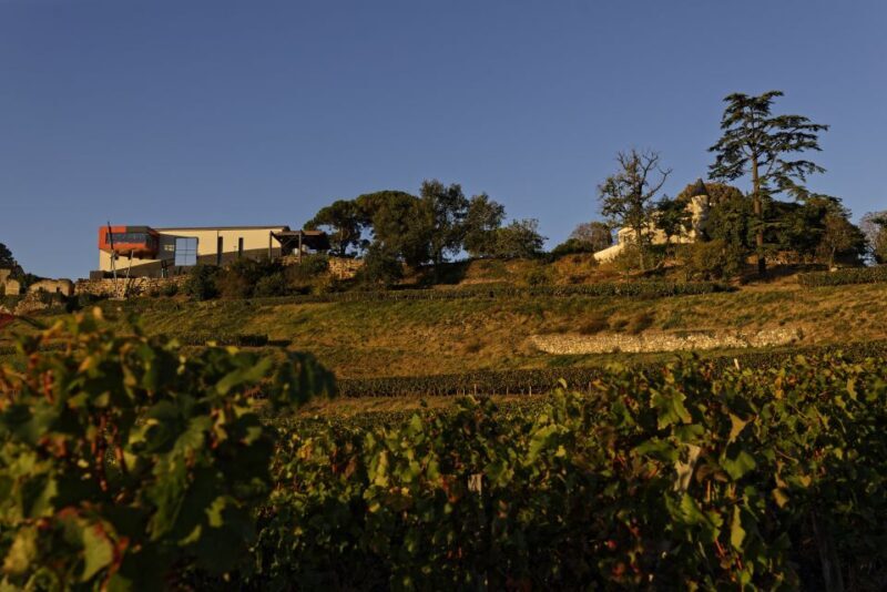 Saint-Émilion: Grand Cru Classé Winery Visit and Tasting - Authentic Experiences Brought to Life by Reviews