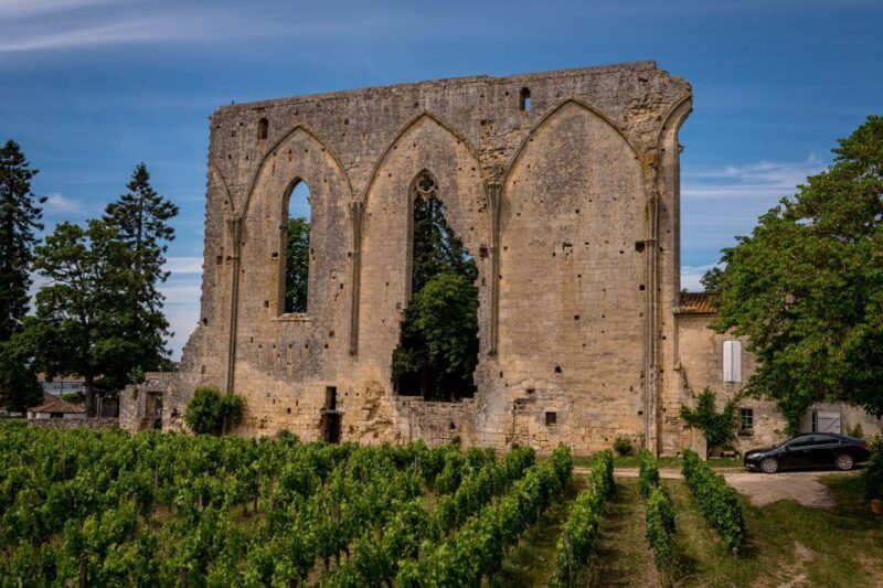Saint Emilion Half Day Ebike and Wine Tour with Picnic - Key Points
