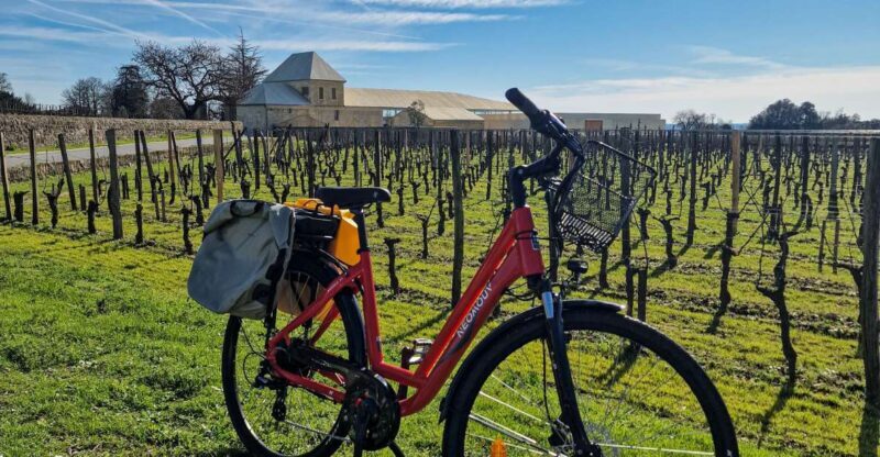Saint Emilion Half Day Ebike and Wine Tour with Picnic - The Highlight: Sunset Picnic Over the Vines