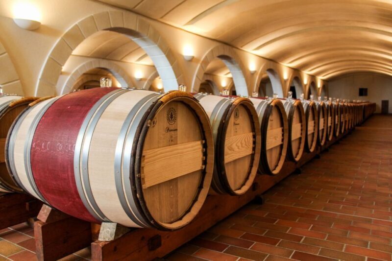 Saint Emilion Half Day Ebike and Wine Tour with Picnic - What’s Included and What to Keep in Mind