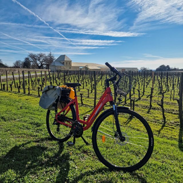 Saint Emilion Half Day Ebike and Wine Tour with Picnic - Group Size, Timing, and Flexibility
