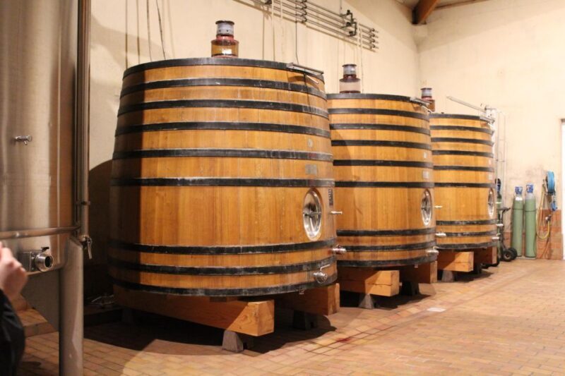 Saint Emilion Half Day Ebike and Wine Tour with Picnic - Who Would Enjoy This Tour?