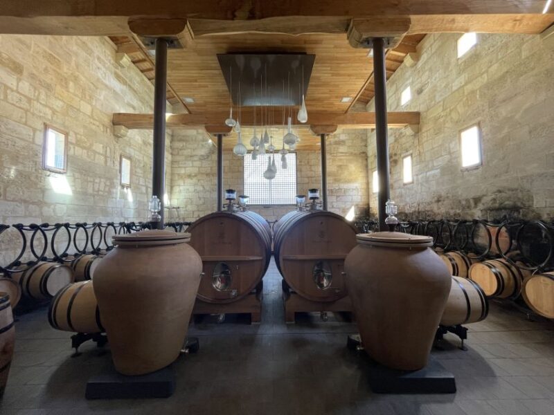 Saint-Emilion : half-day wine-tour into classified estates - The Practical Details