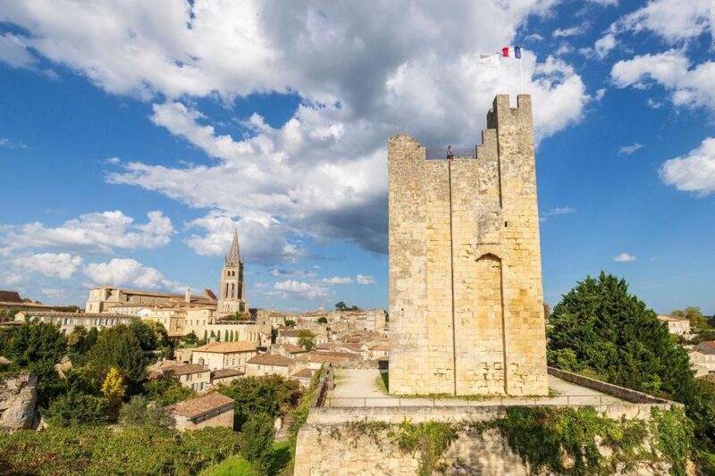 Saint-Emilion : half-day wine-tour into classified estates - Who Will Love This Tour?