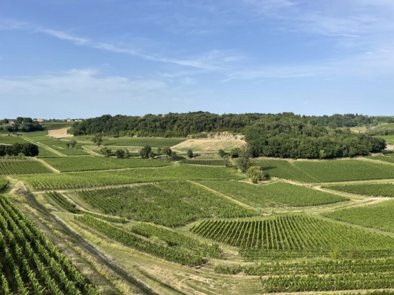 Saint-Emilion : half-day wine-tour into classified estates - Final Thoughts