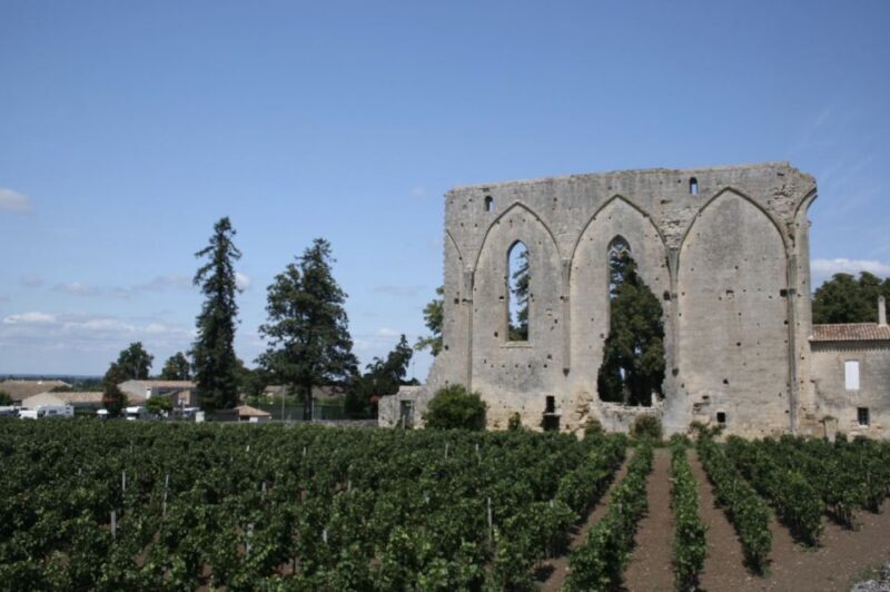 Saint-Émilion: Private Walking Tour & Magnificent Views - Final Thoughts