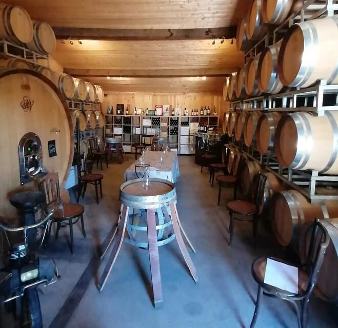 Saint-Emilion : Tasting of 4 wines in a family vineyard - An In-Depth Look at the Experience