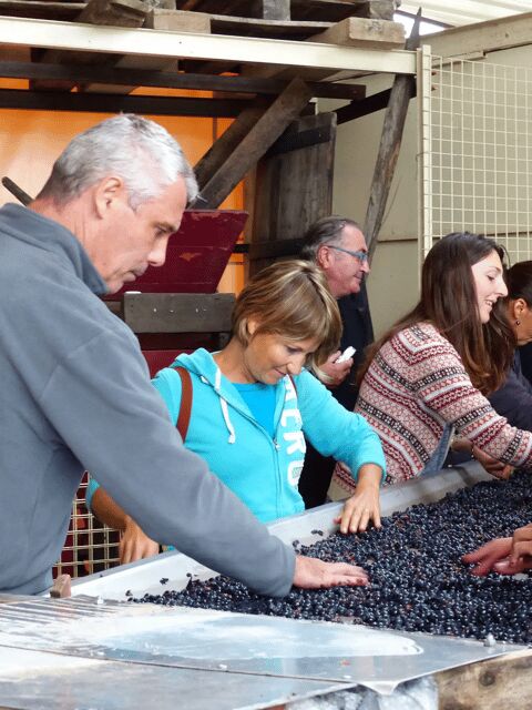 Saint-Emilion : Tasting of 4 wines in a family vineyard - FAQ: Your Practical Questions Answered