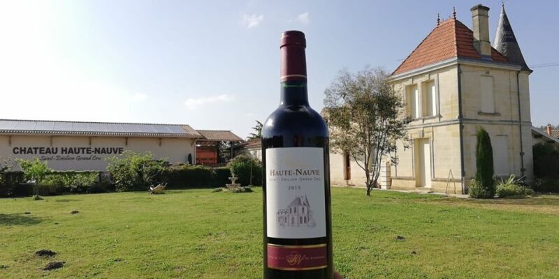 Saint-Émilion: Vineyard Walking Tour and Tasting - Saint-Émilion: Vineyard Walking Tour and Tasting — A Practical, Authentic Experience