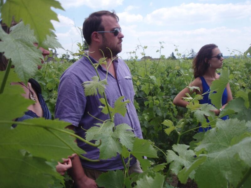 Saint-Émilion: Vineyard Walking Tour and Tasting - Practical Details and Tips
