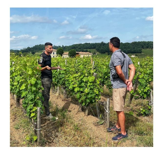 Saint-Émilion: Vineyard Walking Tour and Tasting - Why This Tour Works and Who Will Love It