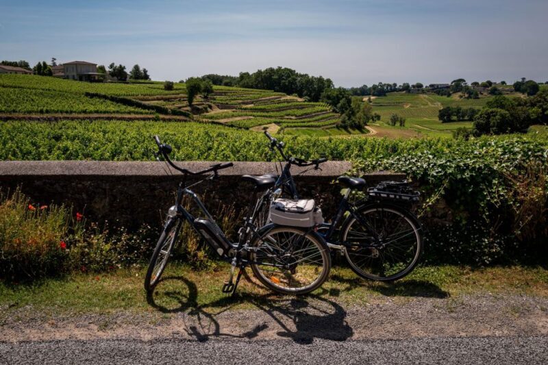 Saint-Émilion: Wine Tour by Electric Bike and Lunch - Cycling Further into the Countryside