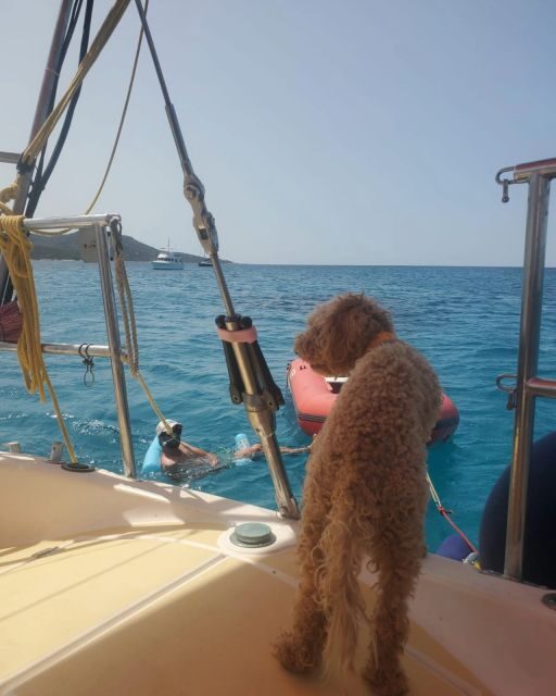 Saint-Florent: sailing excursions with Sailingmaures - Value and Practicality
